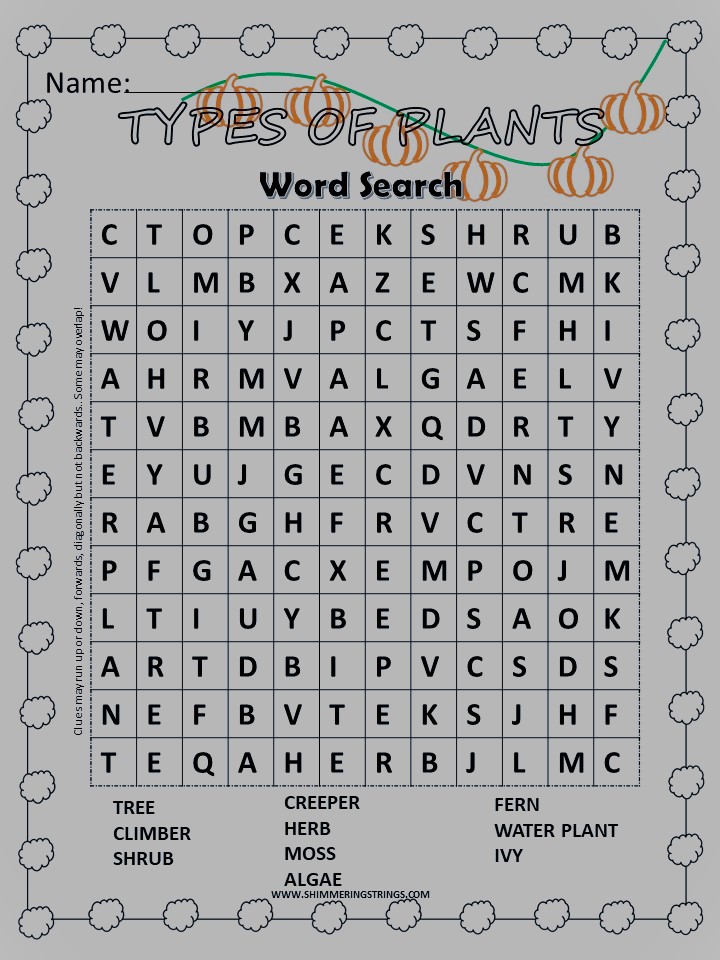 Types of Plants Word Search Activity | Made By Teachers