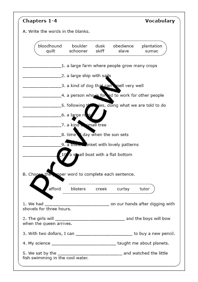 Kate Messner "Long Road to Freedom" worksheets | Made By Teachers