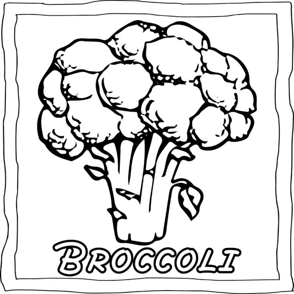 Vegetables Coloring Book : Easy and Fun Vegetables Coloring Pages for ...