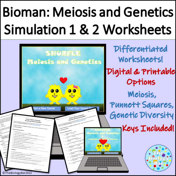 Bioman Meiosis and Punnett Squares Simulation Worksheets | Made By Teachers