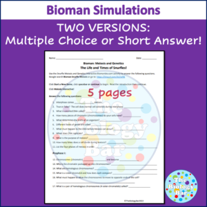 Bioman Meiosis and Punnett Squares Simulation Worksheets | Made By Teachers