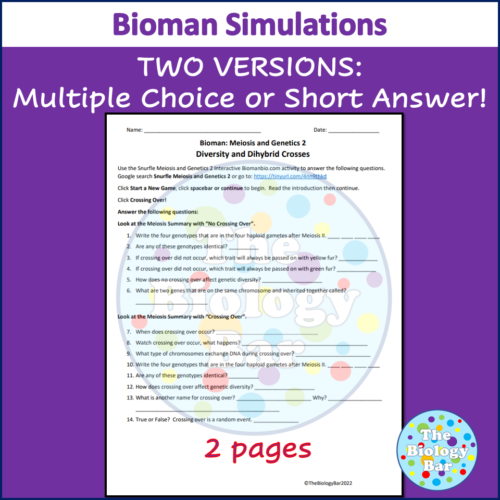 Bioman Meiosis and Punnett Squares Simulation Worksheets | Made By Teachers