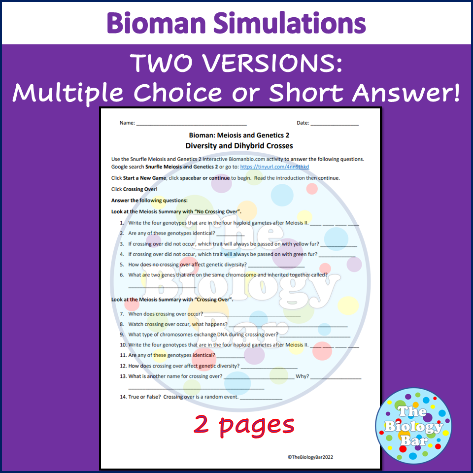 Bioman Meiosis and Punnett Squares Simulation Worksheets | Made By Teachers