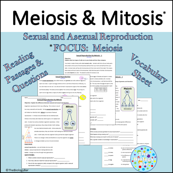 Meiosis and Mitosis Reading and Questions | Made By Teachers