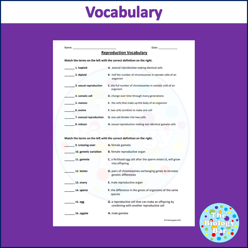 Meiosis and Mitosis Reading and Questions | Made By Teachers
