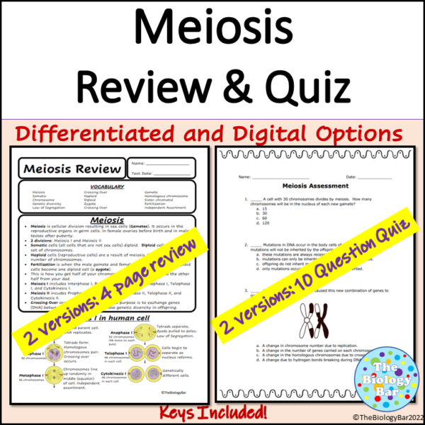 Meiosis Review and Quiz Assessment with Differentiation | Made By Teachers