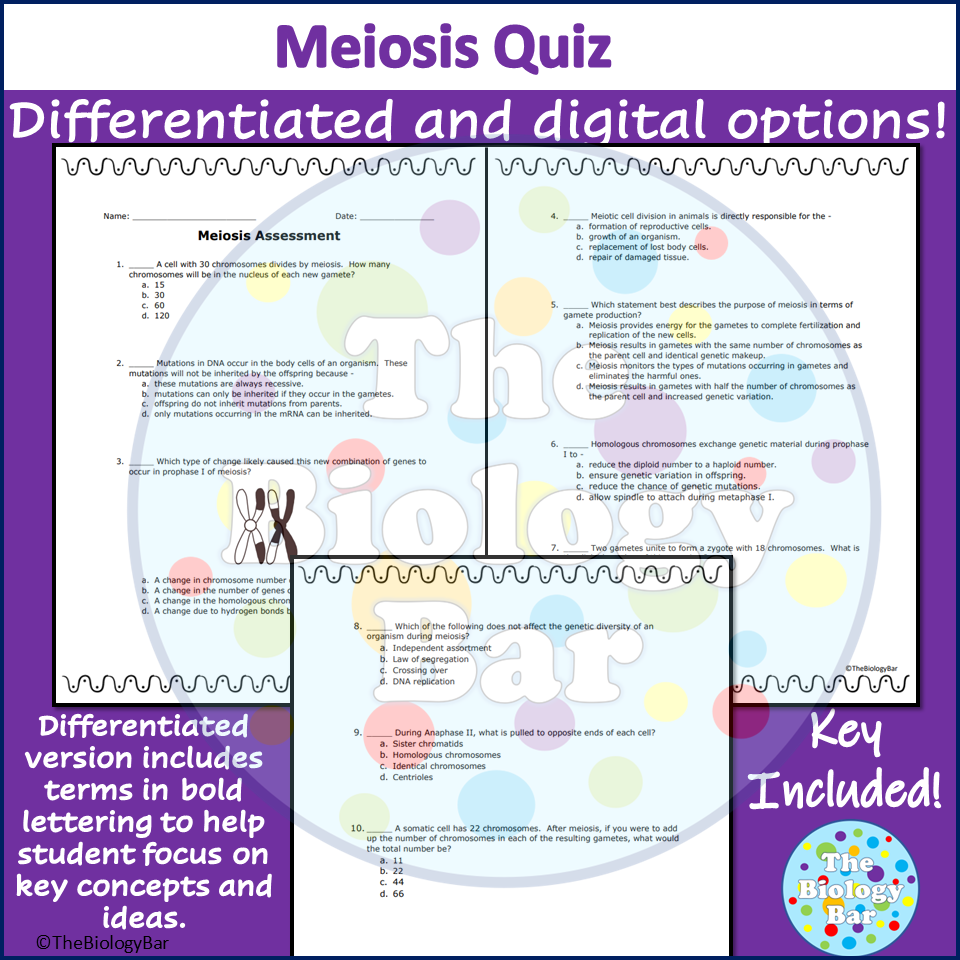 Meiosis Review and Quiz Assessment with Differentiation | Made By Teachers