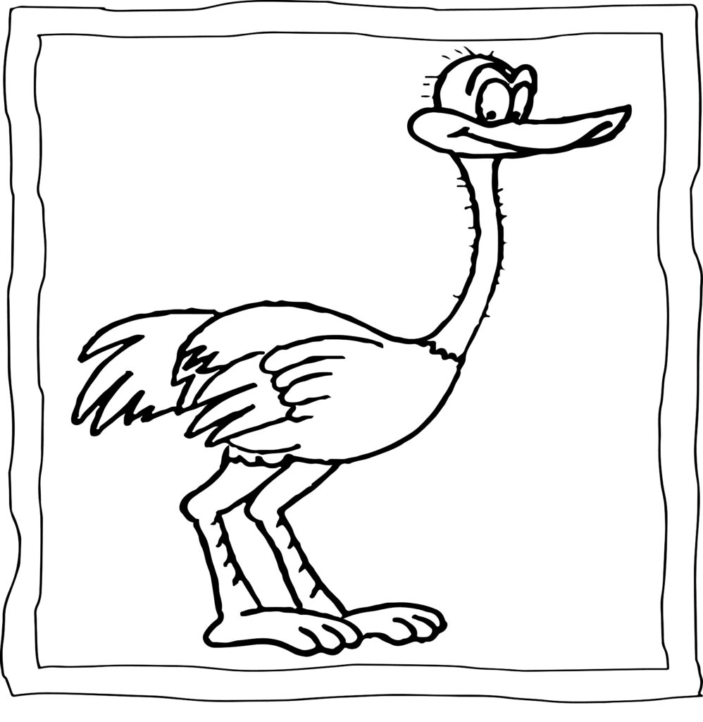 Ostrich Coloring Book : Easy and Fun Ostrich Coloring Pages for Kids ...