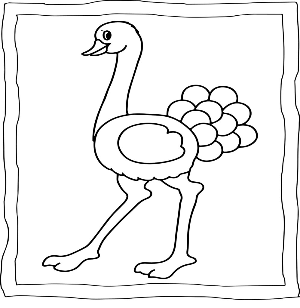 Ostrich Coloring Book : Easy and Fun Ostrich Coloring Pages for Kids ...