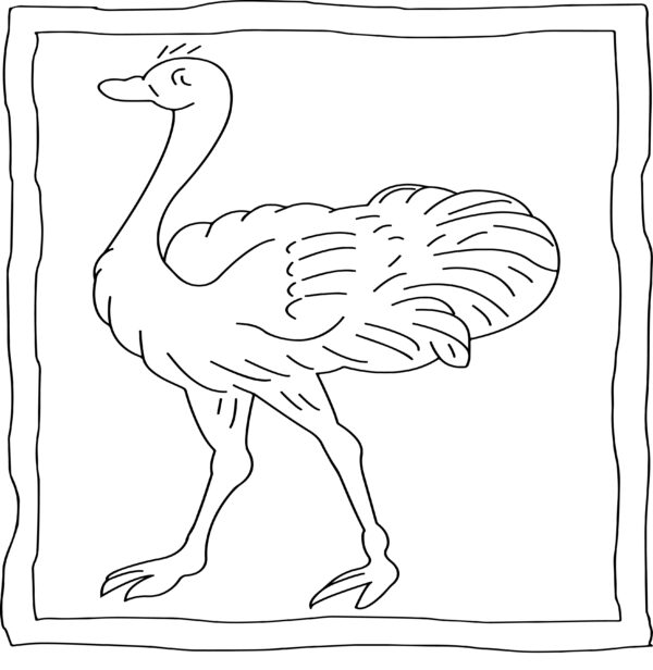 Ostrich Coloring Book : Easy and Fun Ostrich Coloring Pages for Kids ...