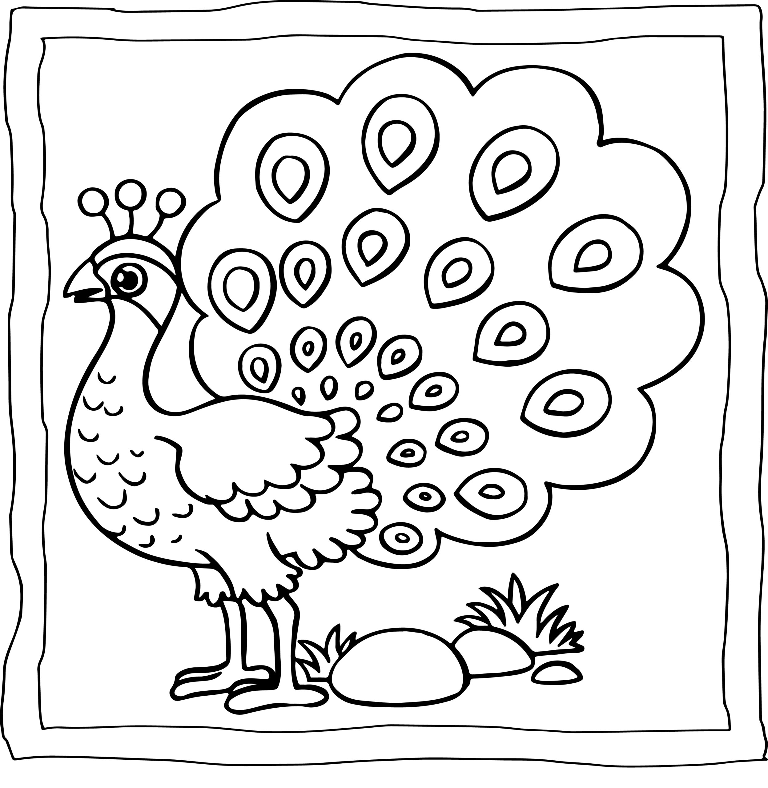 Peacock Coloring Book : Easy and Fun Peacock Coloring Pages for Kids ...