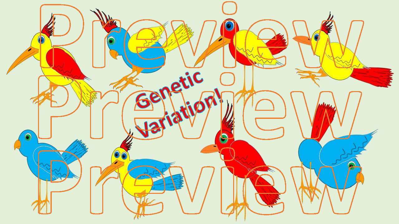 Meiosis Genetic Variation Build a Bird Interactive PPT | Made By Teachers