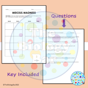 Meiosis Madness Cut and Paste Worksheet | Made By Teachers