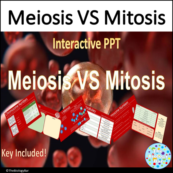 Meiosis Bundle | Made By Teachers
