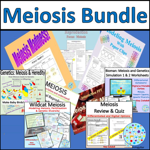 Meiosis Bundle | Made By Teachers
