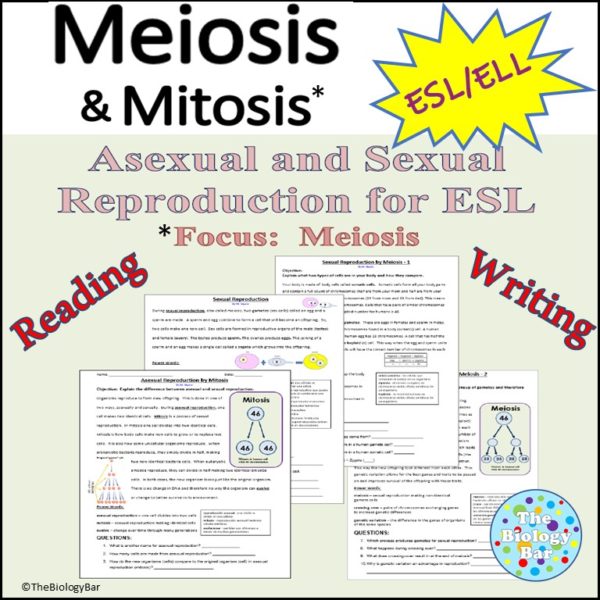 ESL ELL Biology Meiosis and Mitosis Reading and Questions | Made By ...