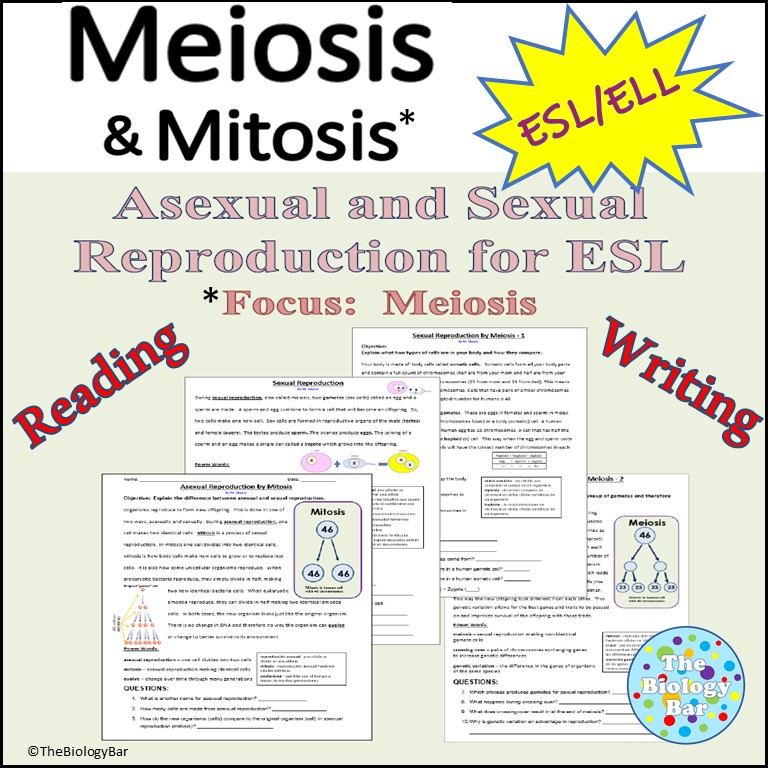 ESL ELL Biology Meiosis and Mitosis Reading and Questions | Made By ...