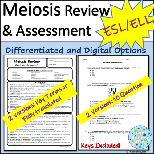 ESL ELL Meiosis Review and Assessment | Made By Teachers