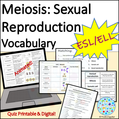 ESL ELL Biology Meiosis Unit Sexual Reproduction Vocabulary Notes ...