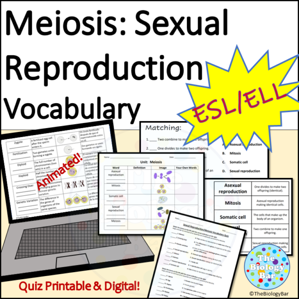 ESL ELL Biology Meiosis Unit Sexual Reproduction Vocabulary Notes ...