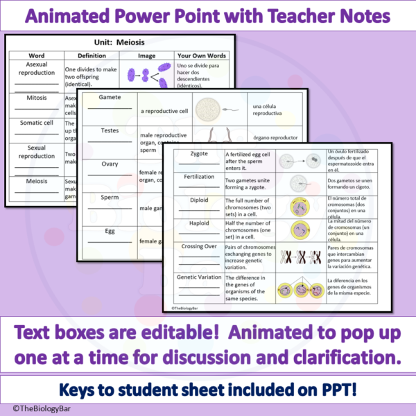 ESL ELL Biology Meiosis Unit Sexual Reproduction Vocabulary Notes ...