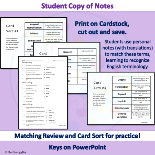 ESL ELL Biology Meiosis Unit Sexual Reproduction Vocabulary Notes ...