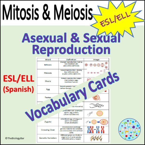 ESL ELL Biology Meiosis Sexual Reproduction Vocabulary Cards | Made By ...