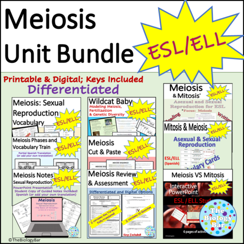 ESL ELL Meiosis Unit Bundle | Made By Teachers