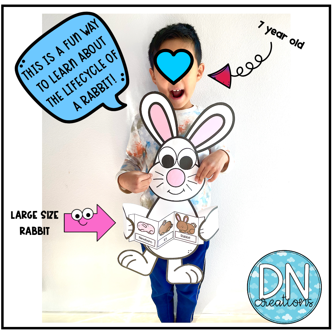 Rabbit Life Cycle Craft l Rabbit Science Craft l Bunny Craft for Easter ...