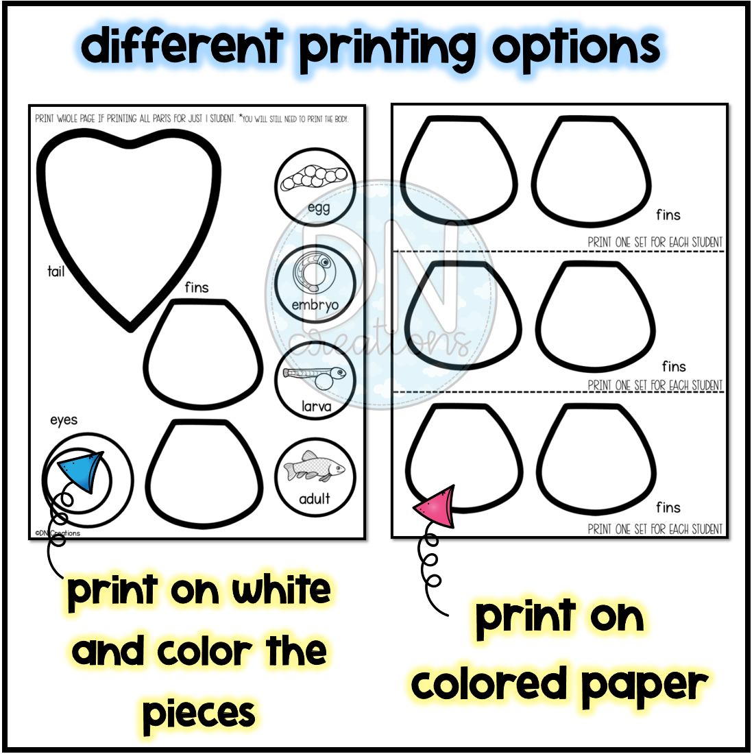 Fish Life Cycle Craft l Fish Science Craft l Fish Craft | Made By Teachers