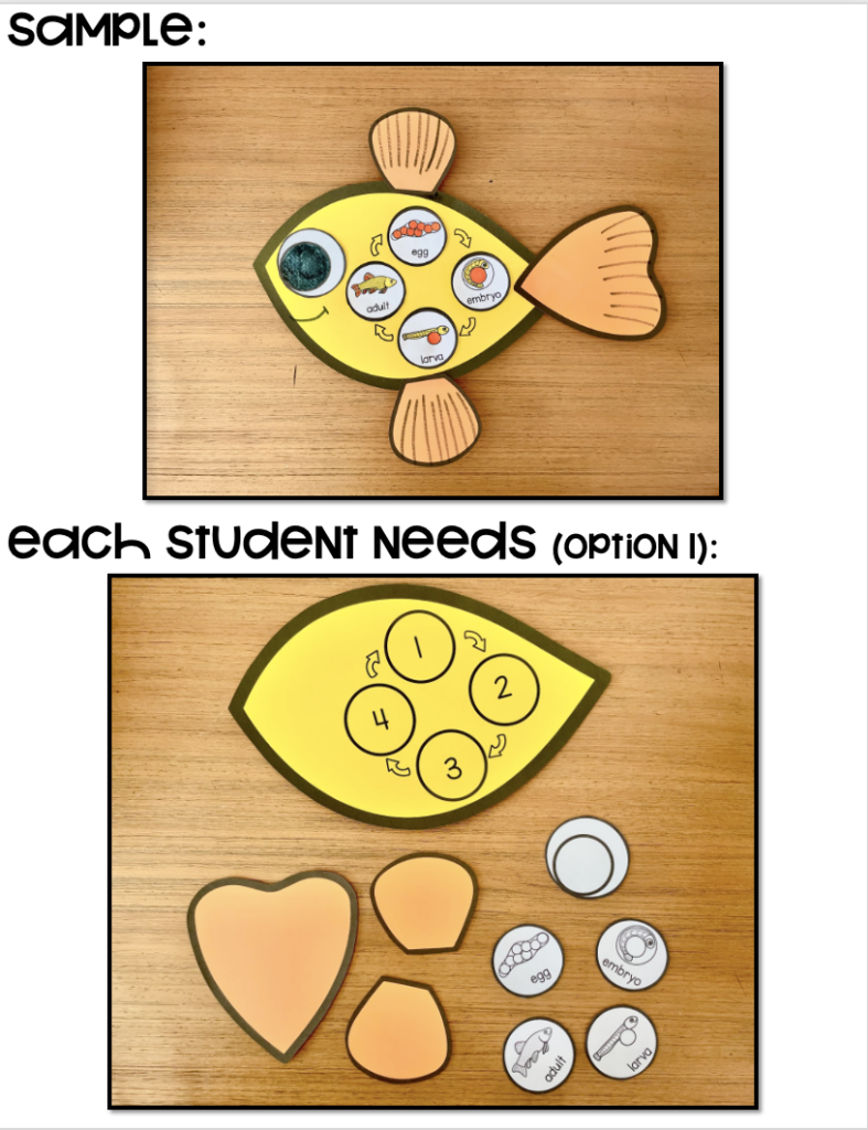 Fish Life Cycle Craft l Fish Science Craft l Fish Craft | Made By Teachers