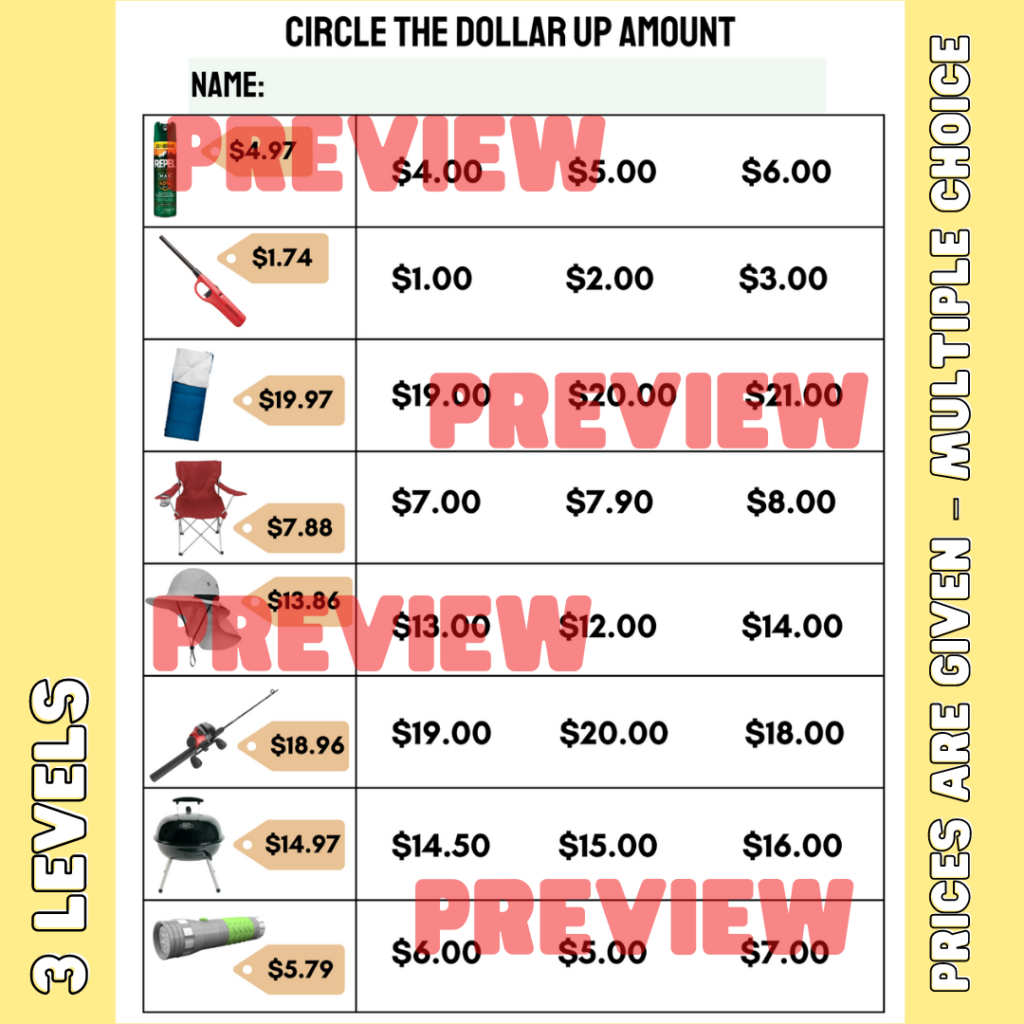 Dollar Up Shopping Worksheets - Camping Store - Life Skills | Made By ...