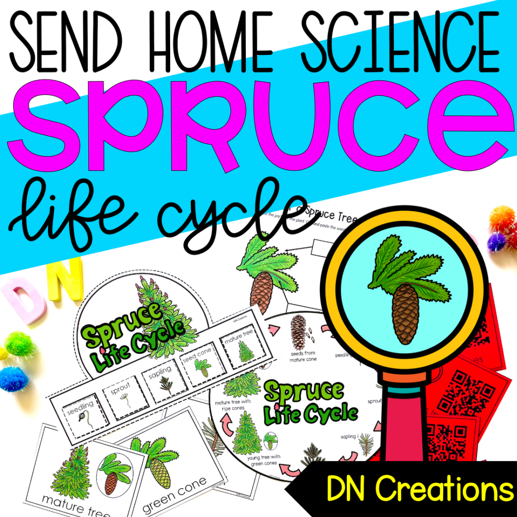 Send HOME Science Spruce Tree Life Cycle | Christmas Tree Lifecycle ...