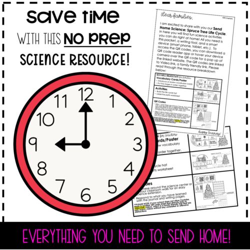 Send HOME Science Spruce Tree Life Cycle | Christmas Tree Lifecycle ...