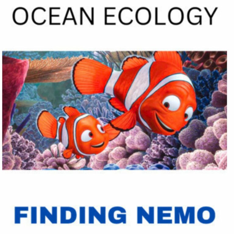 Finding Ocean Ecology in Finding Nemo | Made By Teachers