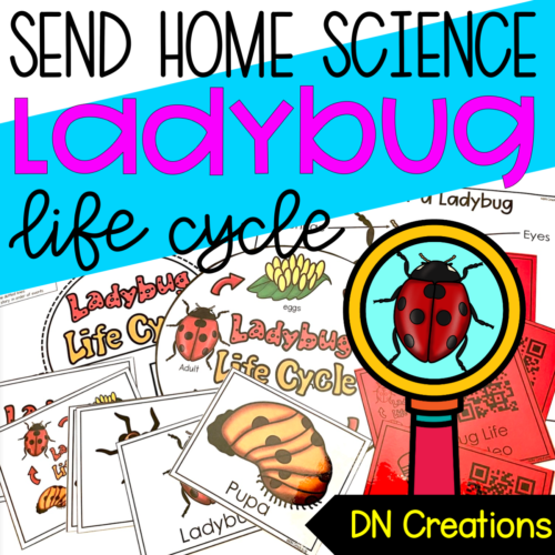 Send HOME Science Ladybug Life Cycle l All about Ladybugs l Insect ...
