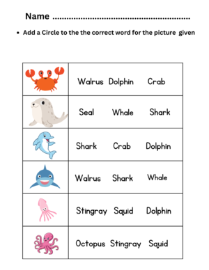 Ocean Animals Flashcards & Worksheets. Vocab & activity games for kids ...