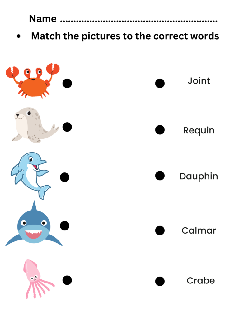 French Ocean Animals Flashcards & Worksheets. Vocab & activity games ...