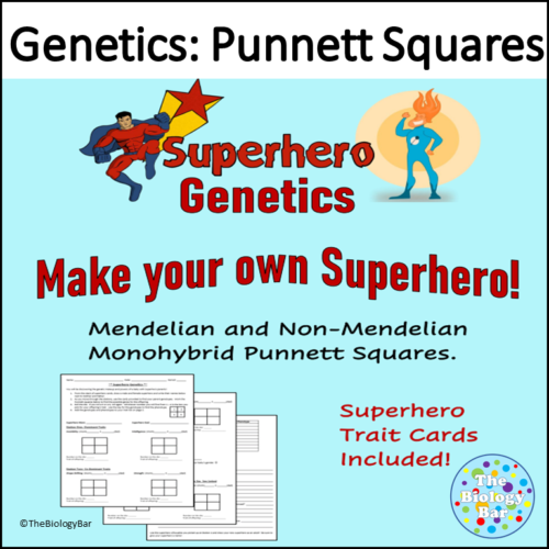 Punnett Squares Making Your Own Superhero | Made By Teachers