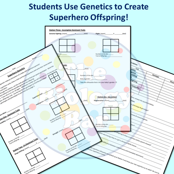 Punnett Squares Making Your Own Superhero | Made By Teachers