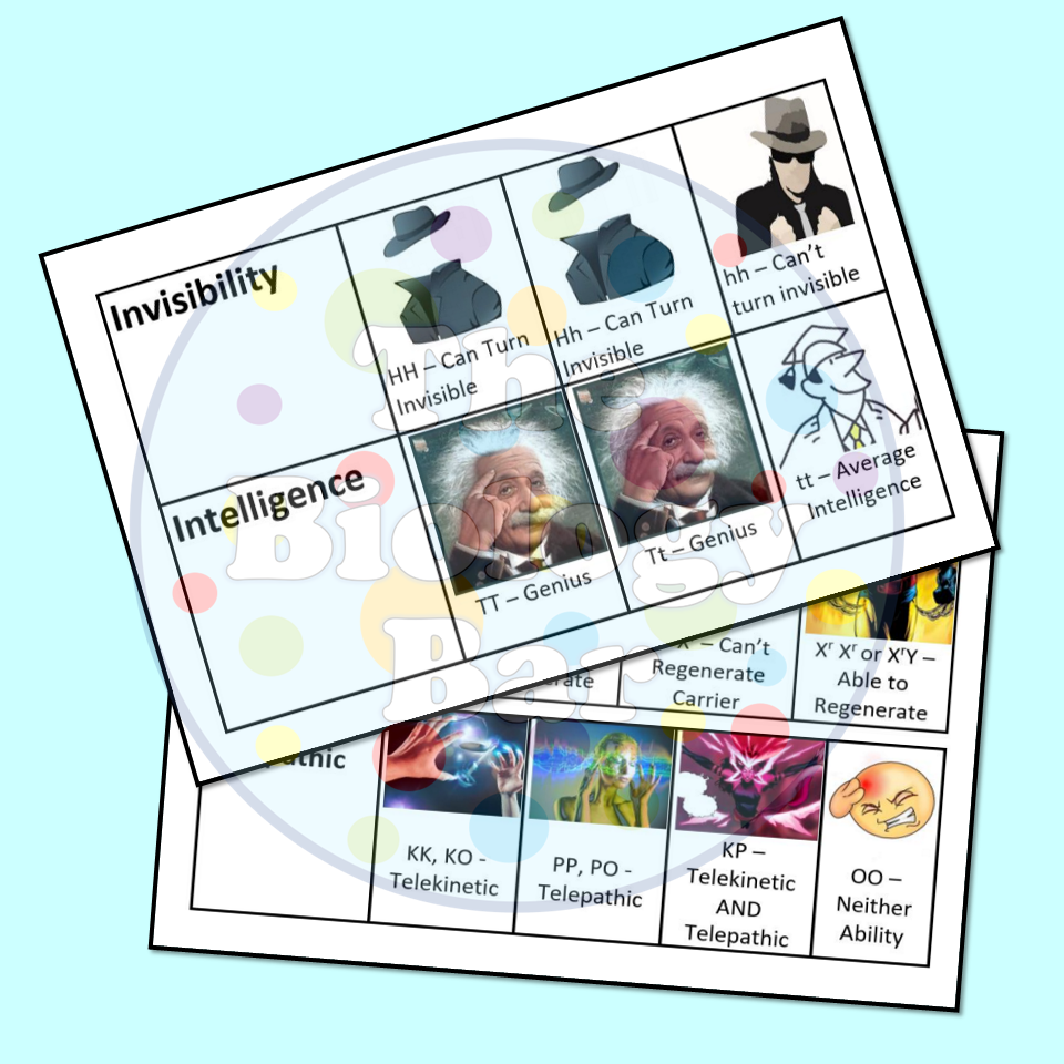 Punnett Squares Making Your Own Superhero | Made By Teachers