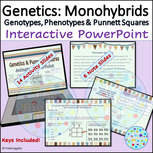 Genetics Punnett Squares Interactive PowerPoint | Made By Teachers