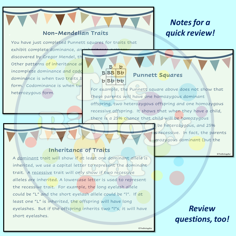 Genetics Punnett Squares Interactive PowerPoint | Made By Teachers