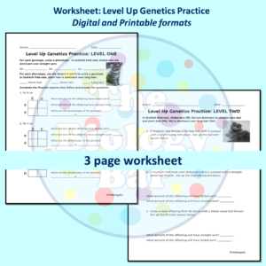 Mendelian Genetics Worksheets | Made By Teachers