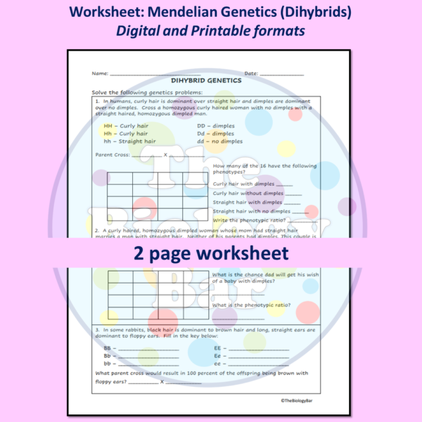 Mendelian Genetics Worksheets | Made By Teachers