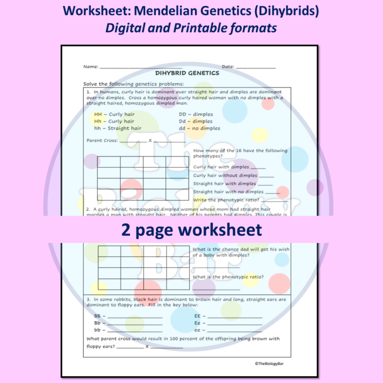 Mendelian Genetics Worksheets | Made By Teachers