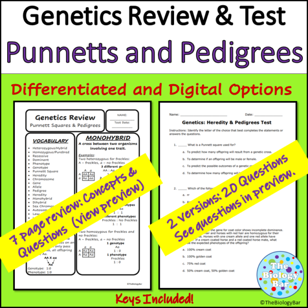 Genetics Punnett Squares and Pedigrees Biology Review and Test | Made ...