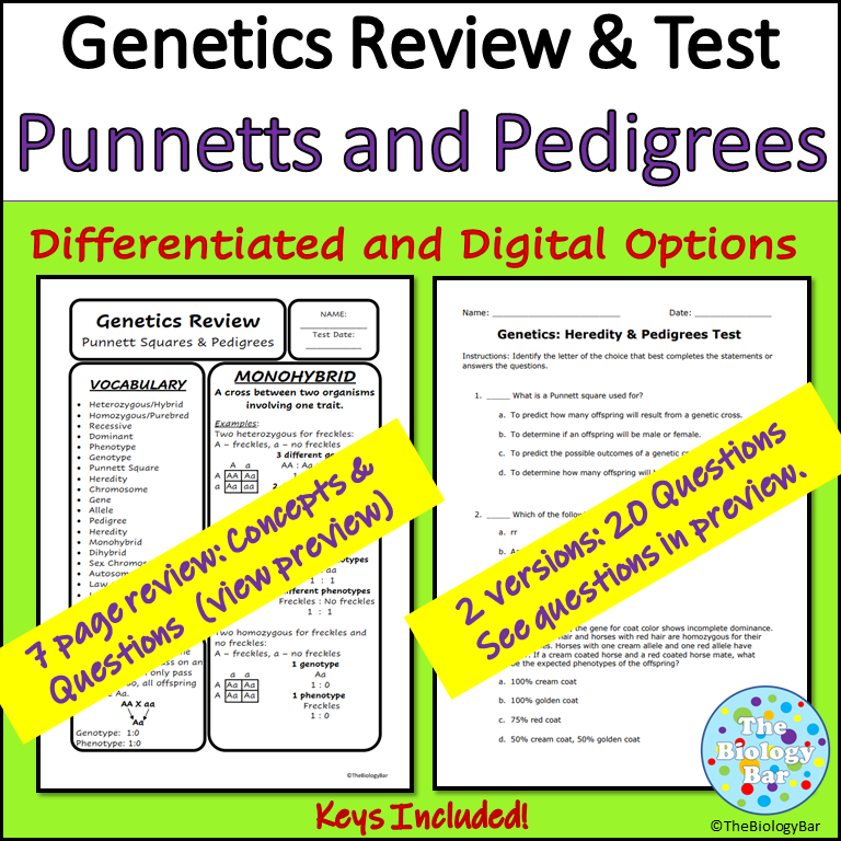 Genetics Punnett Squares and Pedigrees Biology Review and Test | Made ...
