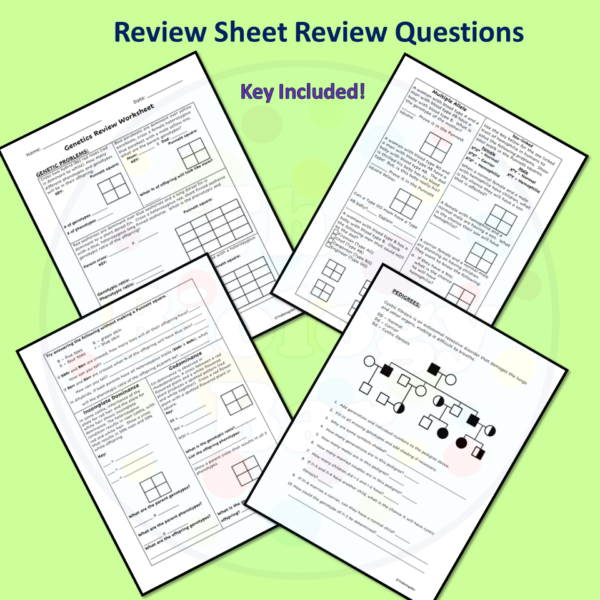 Genetics Punnett Squares and Pedigrees Biology Review and Test | Made ...