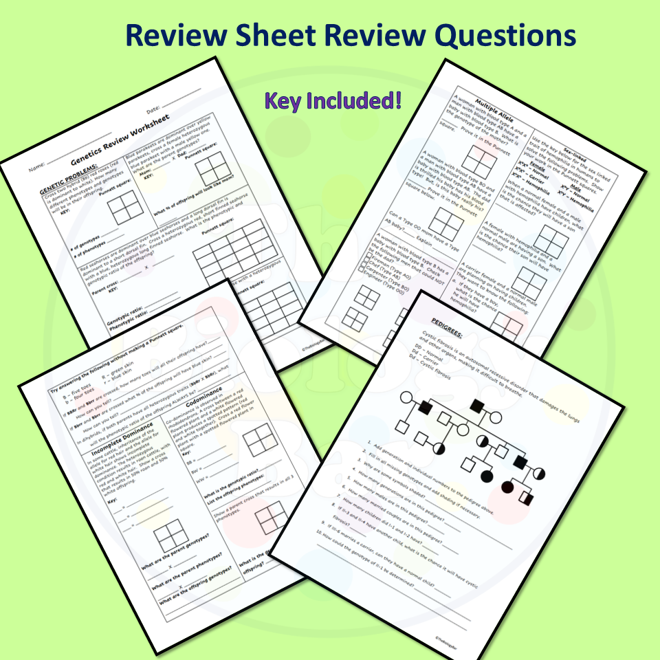 Genetics Punnett Squares and Pedigrees Biology Review and Test | Made ...